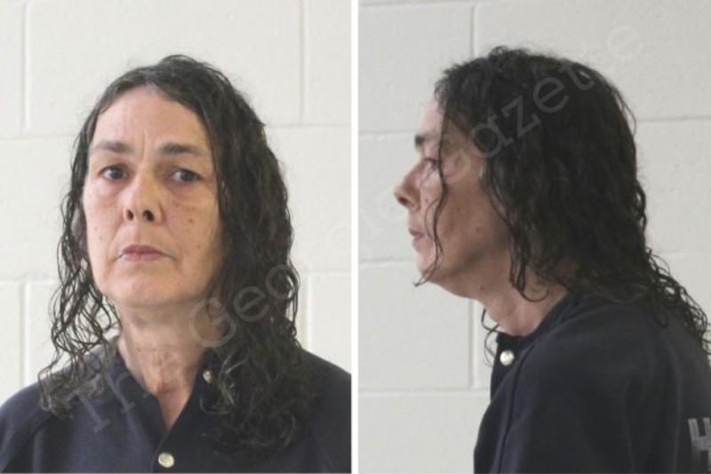 Tami King — Houston County Jail Bookings