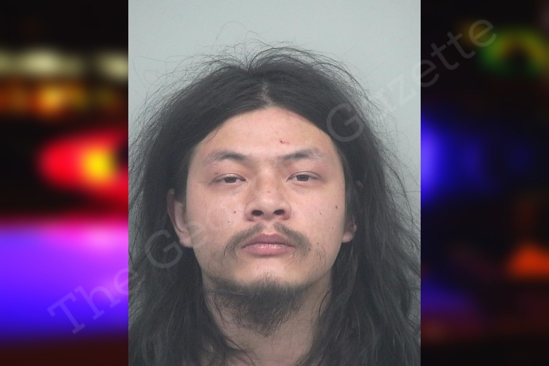 Eric Lee — Gwinnett County Jail Bookings