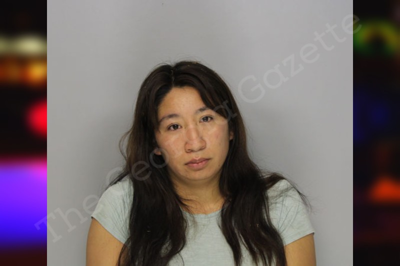 Hoshi Llanas — Hall County Jail Bookings