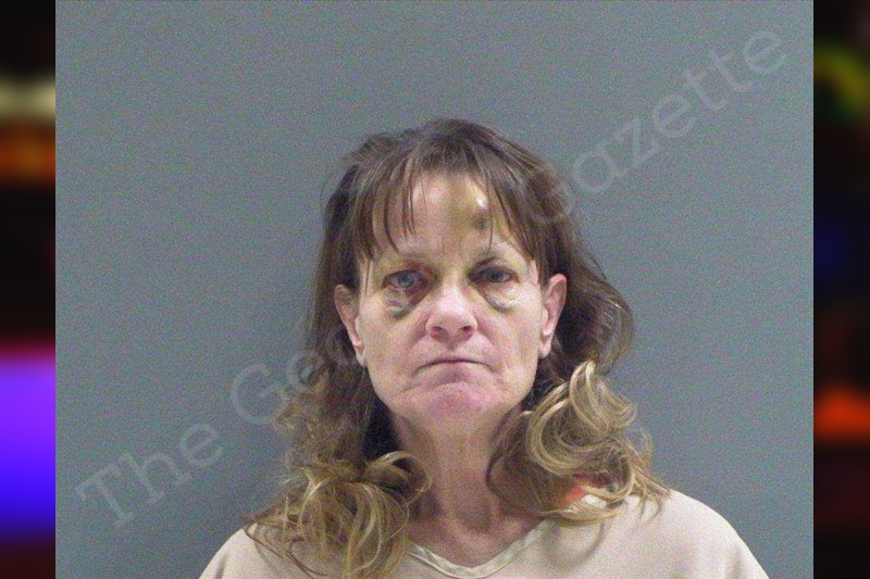 Maggie Lovell — Rabun County Jail Bookings