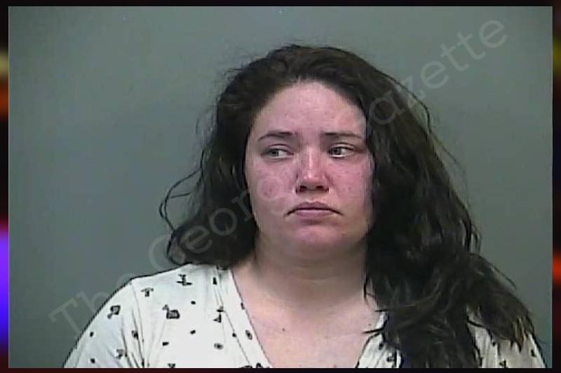 Kristen Landress — White County Jail Bookings