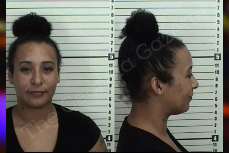 Alexis Lee — Camden County Jail Bookings