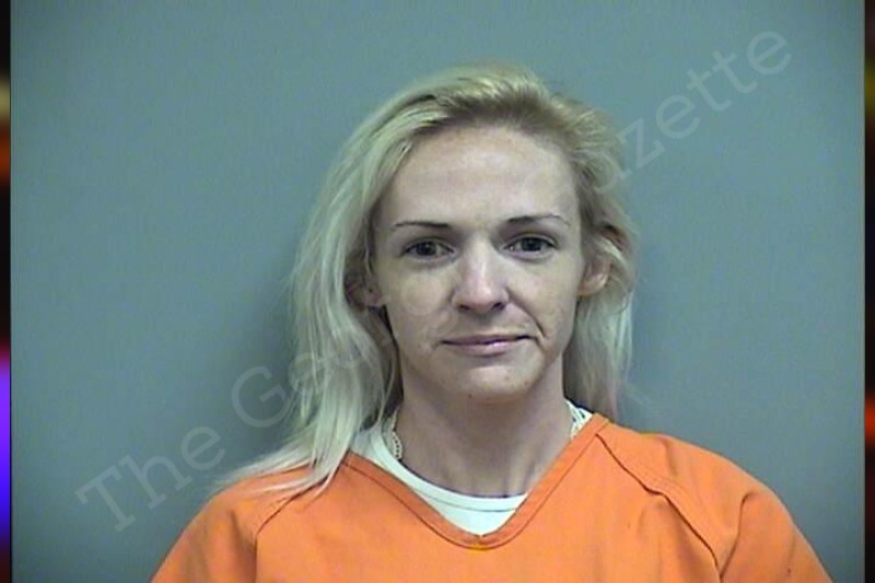 Aimee Lewis — Effingham County Jail Bookings