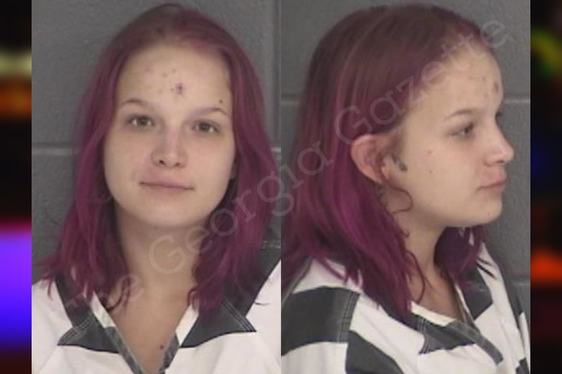 Erin Lyles — Barrow County Jail Bookings