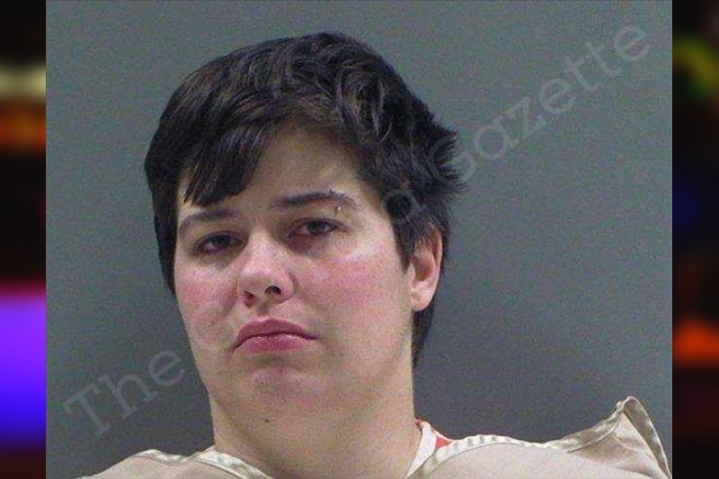 Danielle Mathis — Rabun County Jail Bookings