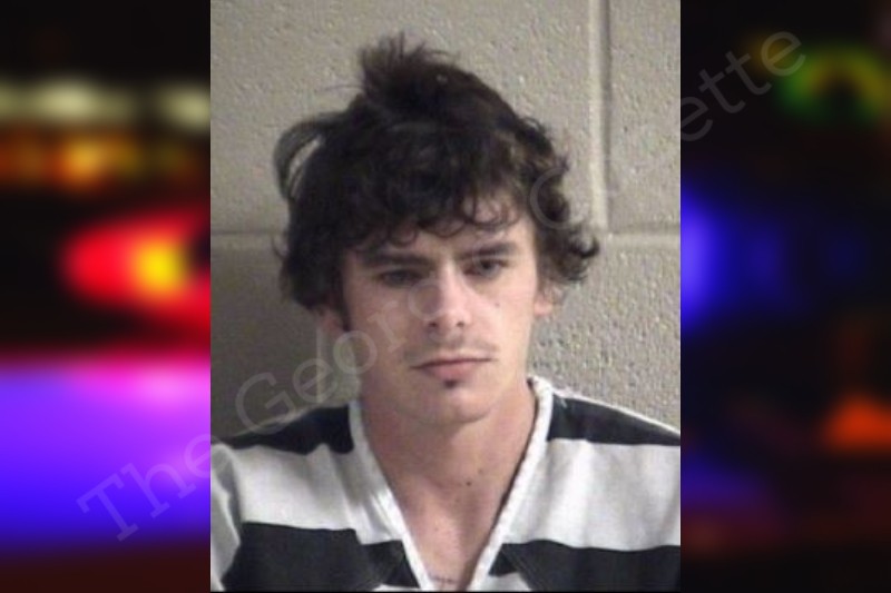 Steven Mathis — Whitfield County Jail Bookings