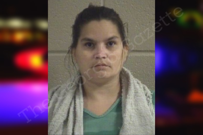 Lacey Militello — Whitfield County Jail Bookings