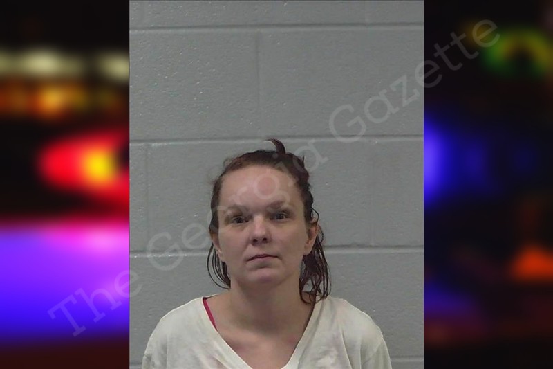 Lori Morgan — Gilmer County Jail Bookings Lori Morgan — Gilmer County Jail Bookings