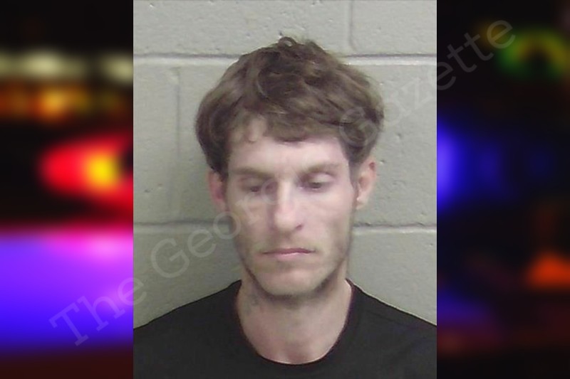 Timothy Manning — Wayne County Jail Bookings