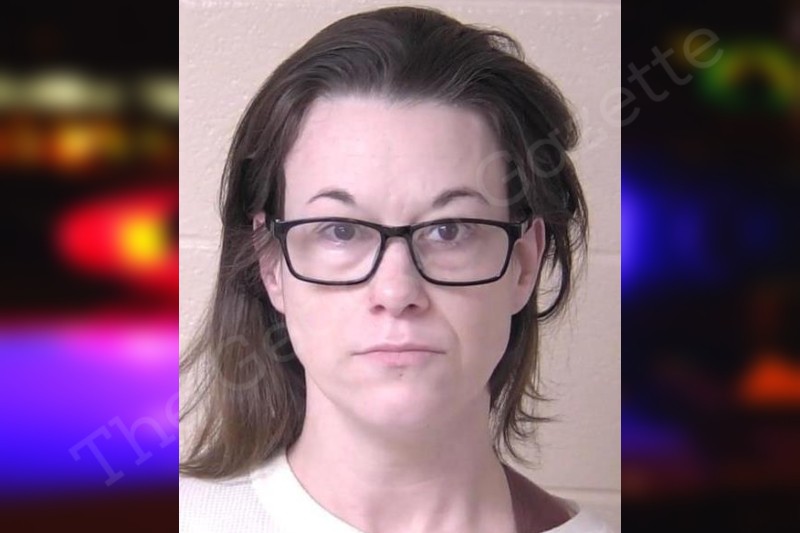Misty Mauldin — Walker County Jail Bookings