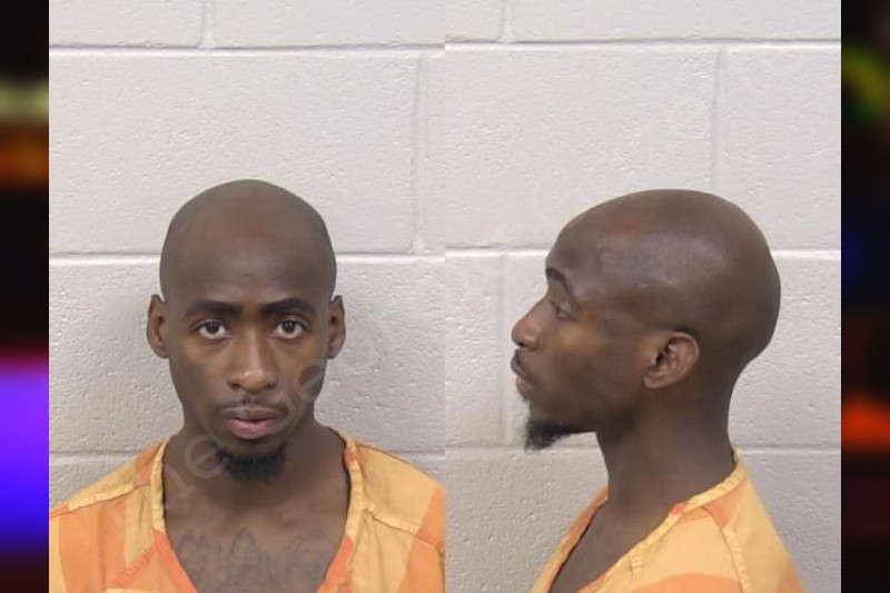 Corey Mayes — Paulding County Jail Bookings