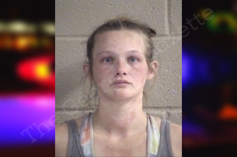 Destiney McBryear — Whitfield County Jail Bookings