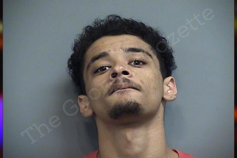 Jonathan McNair — Effingham County Jail Bookings