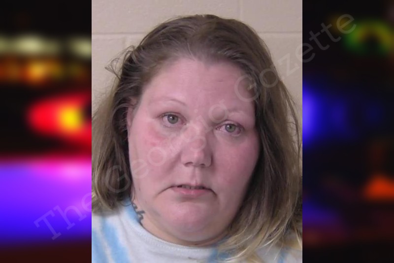 Cheyenne Mullins — Walker County Jail Bookings