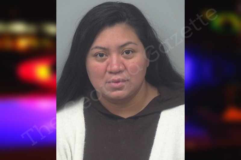 Rosa Ortiz Castillo — Gwinnett County Jail Bookings