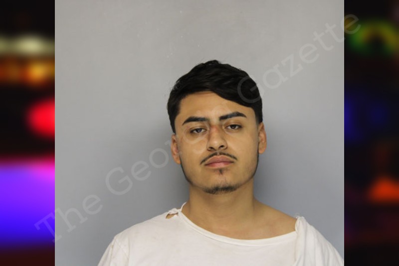 Alan Ortiz-Gallegos — Hall County Jail Bookings