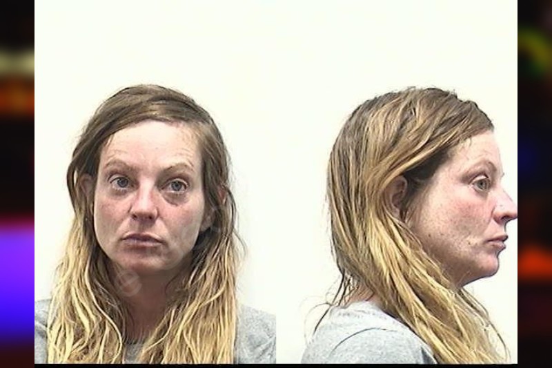 Paige Peebles — Clarke County Jail Bookings