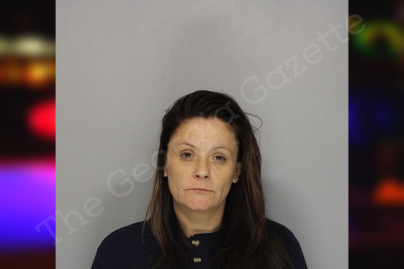 Jessica Pippin — Hall County Jail Bookings