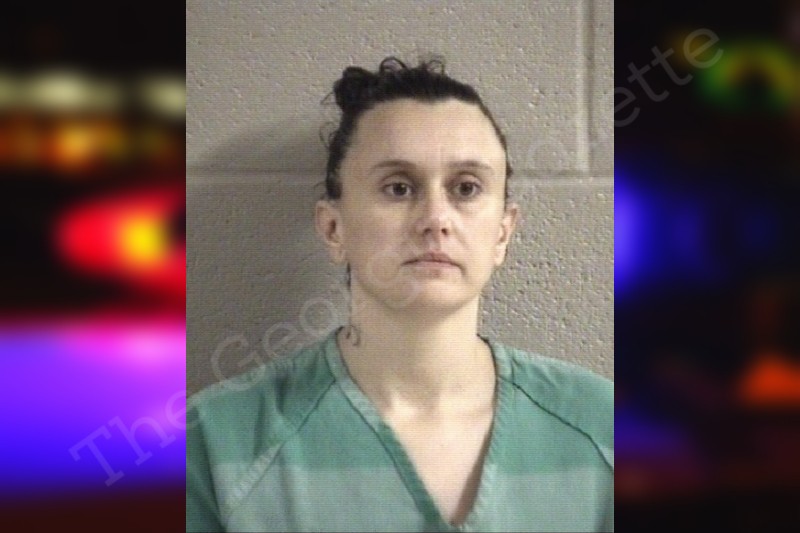 Ashley Parsons — Whitfield County Jail Bookings