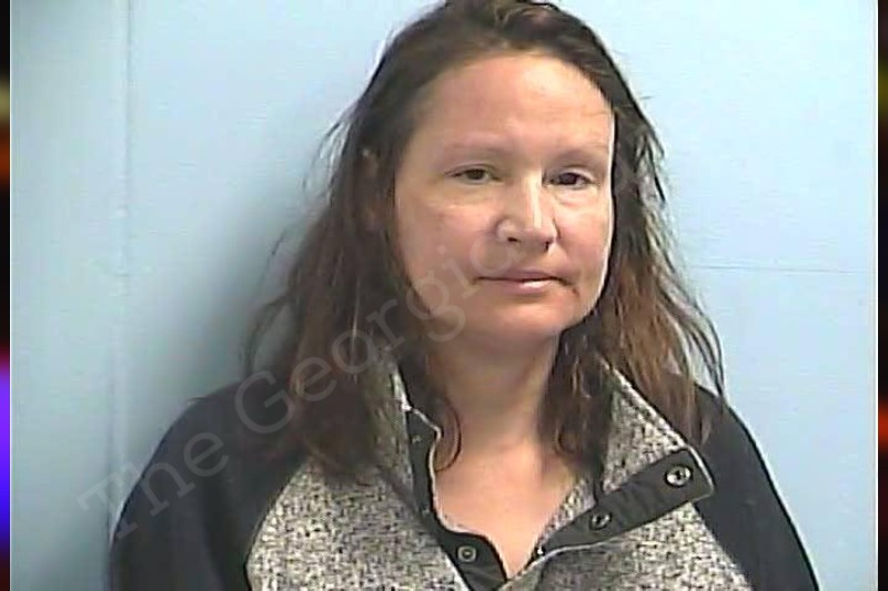 Jennifer Pirkle — Dawson County Jail Bookings