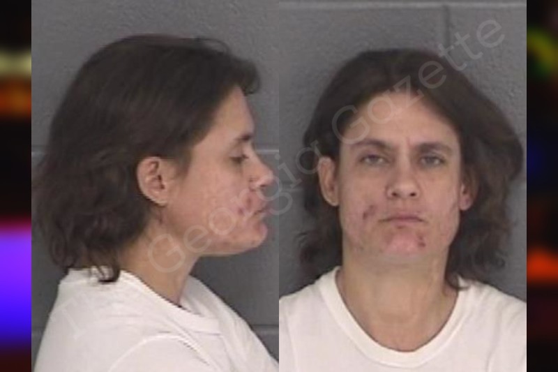 Tamara Pittman — Barrow County Jail Bookings