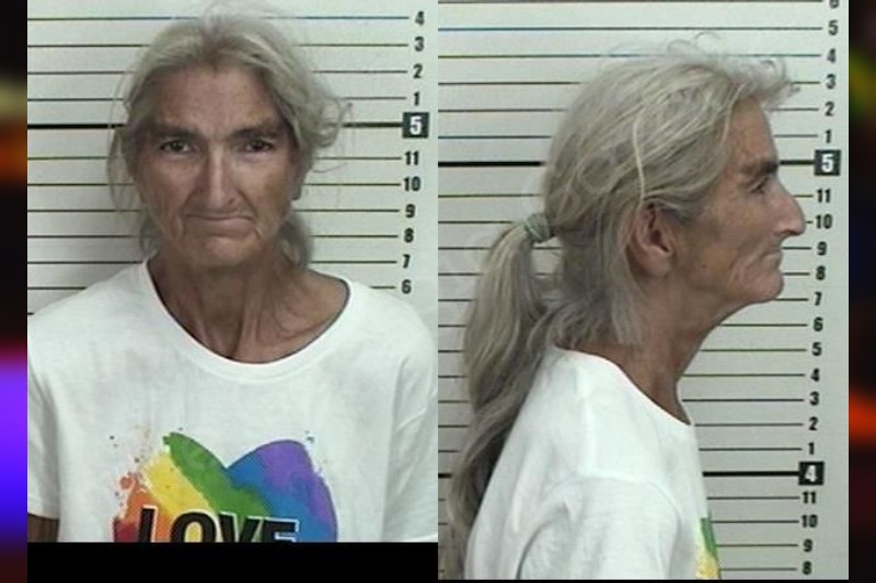 Freida Reece — Camden County Jail Bookings