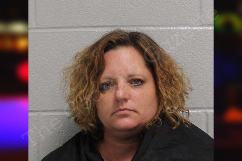 Fancee Riddle — Carroll County Jail Bookings