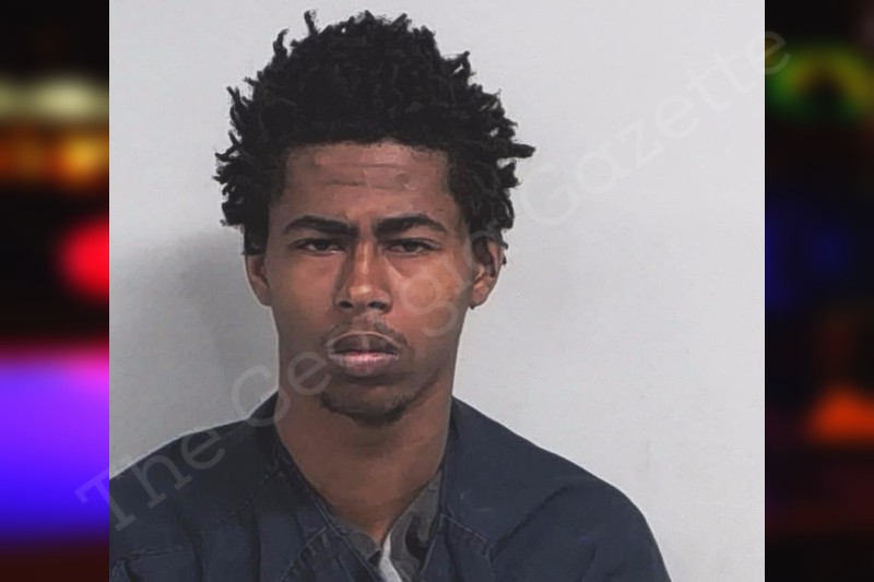 Fredrick Riley — Lowndes County Jail Bookings