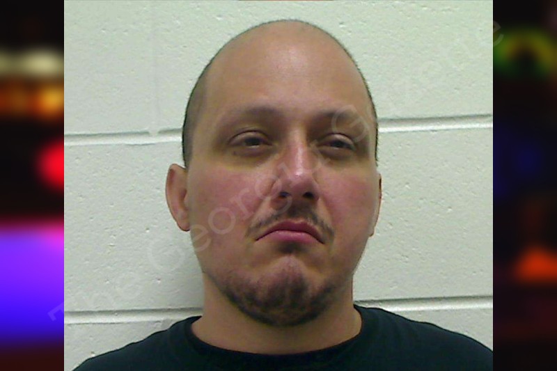 Thomas Rollins — Bulloch County Jail Bookings