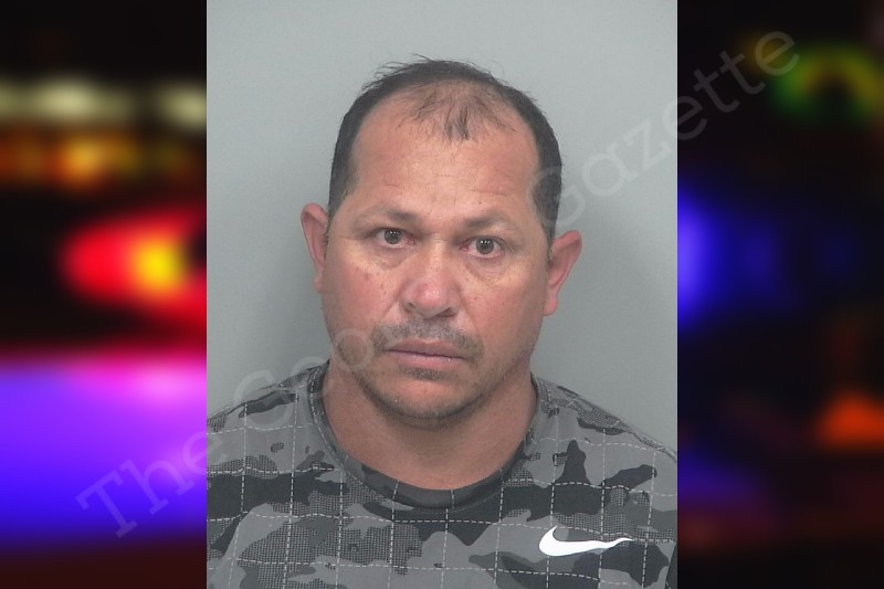 Jorge Romero-Raudales — Gwinnett County Jail Bookings