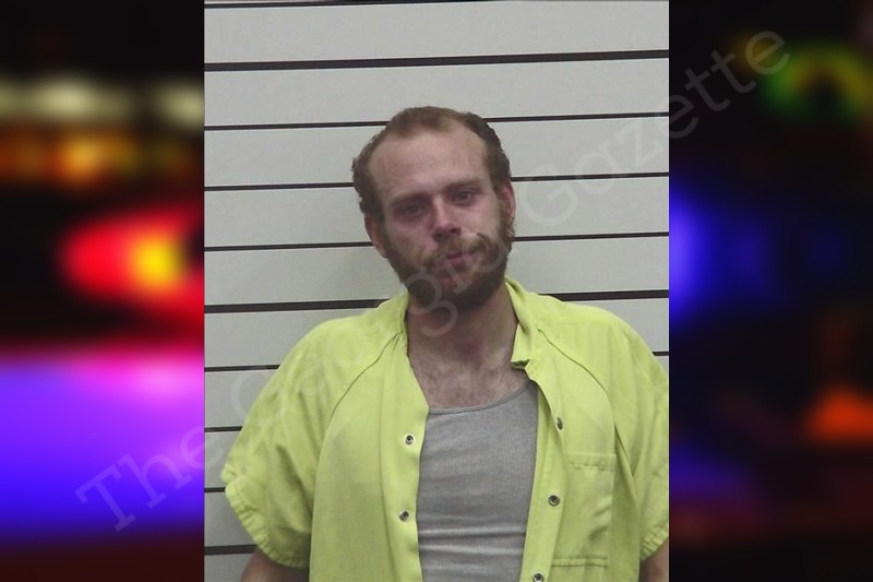 Nicholas Rohlfing — Turner County Jail Bookings