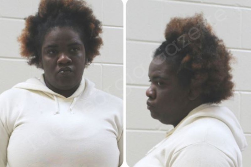 Destiny Ross — Houston County Jail Bookings