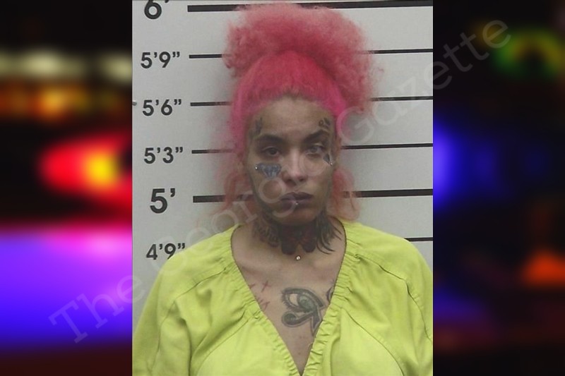 Laishaya Rowen — Turner County Jail Bookings