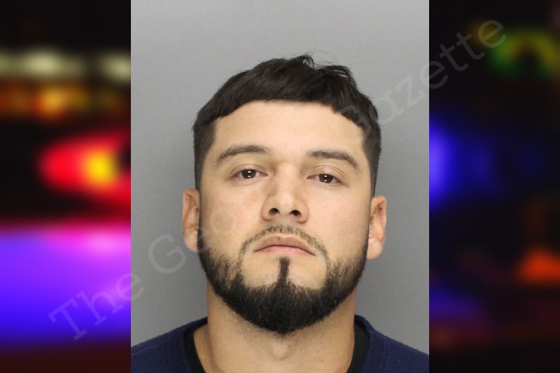 Victor Salgado — Cobb County Jail Bookings
