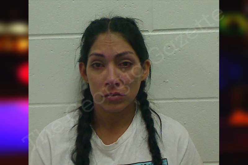 Jennifer Santiago-Ruano — Bulloch County Jail Bookings