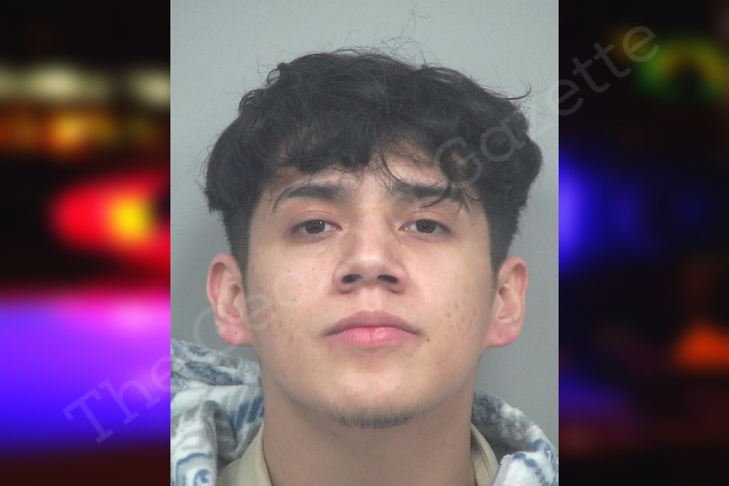 Gabriel Silva Torres | Gwinnett County Jail Bookings