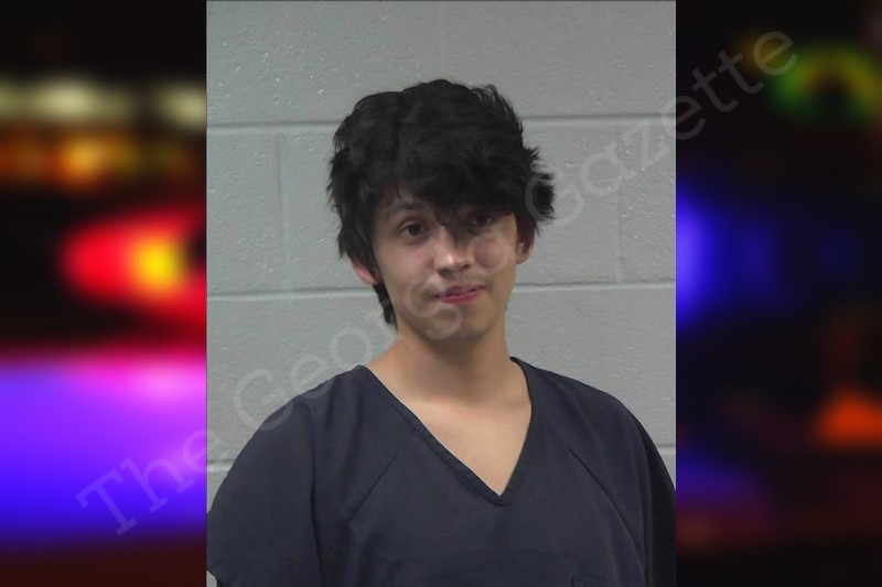 Ernest Sosebee — Gilmer County Jail Bookings