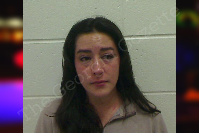 Anna Stock — Bulloch County Jail Bookings