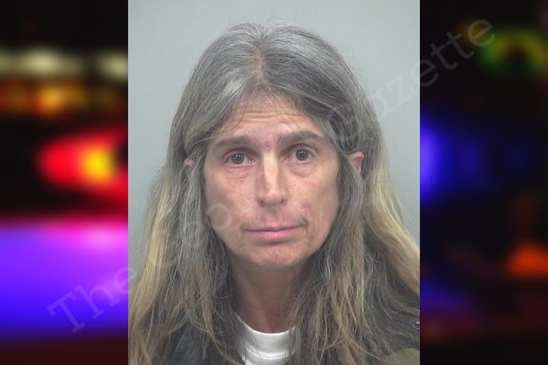 Christy Stringer — Gwinnett County Jail Bookings