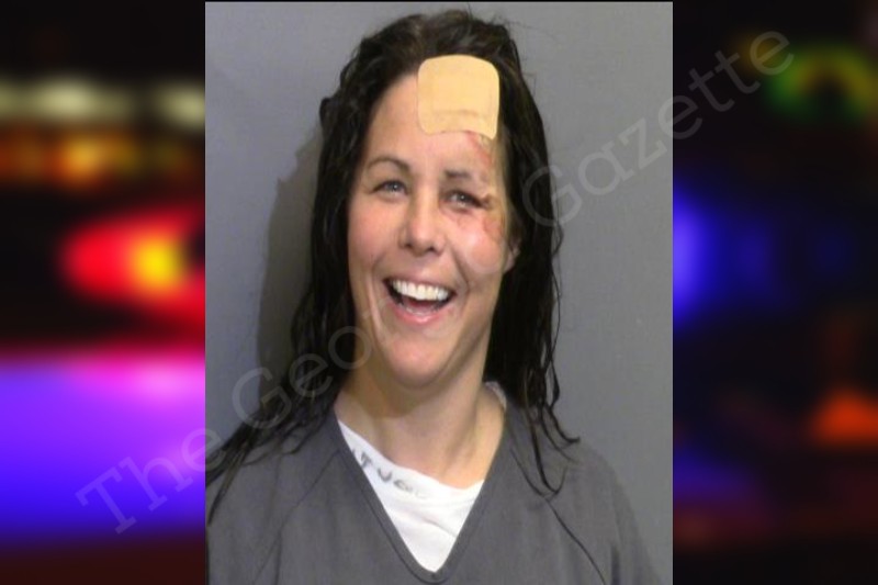 Sarah Schaffer — Glynn County Jail Bookings