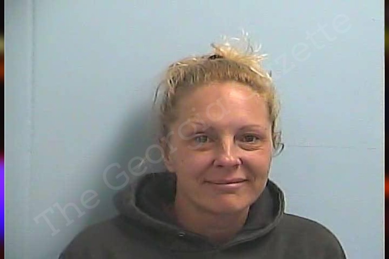 Ashley Shield — Dawson County Jail Bookings