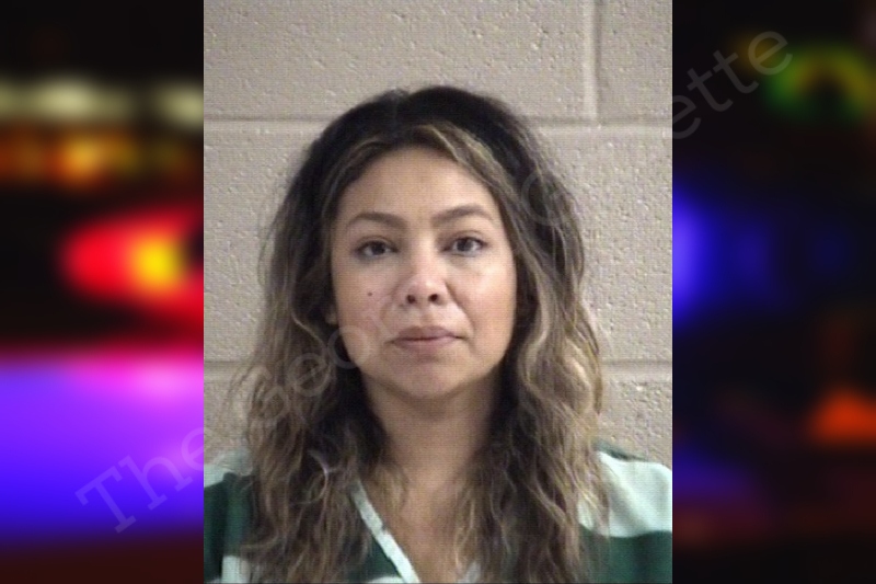 Laura Silva — Whitfield County Jail Bookings