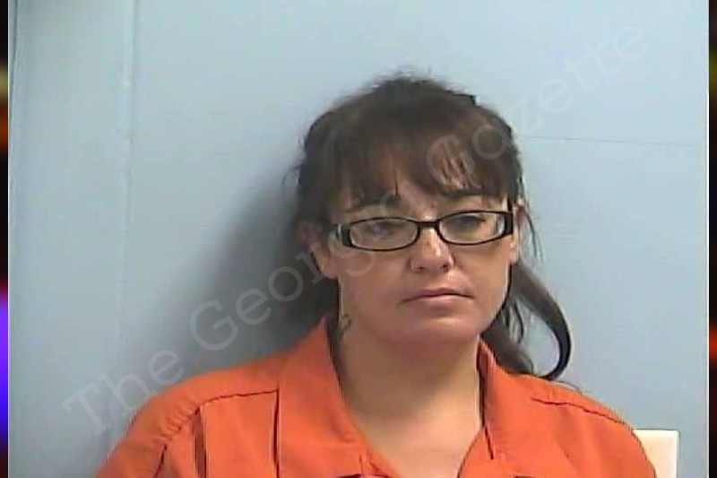 Melissa Skiver — Dawson County Jail Bookings