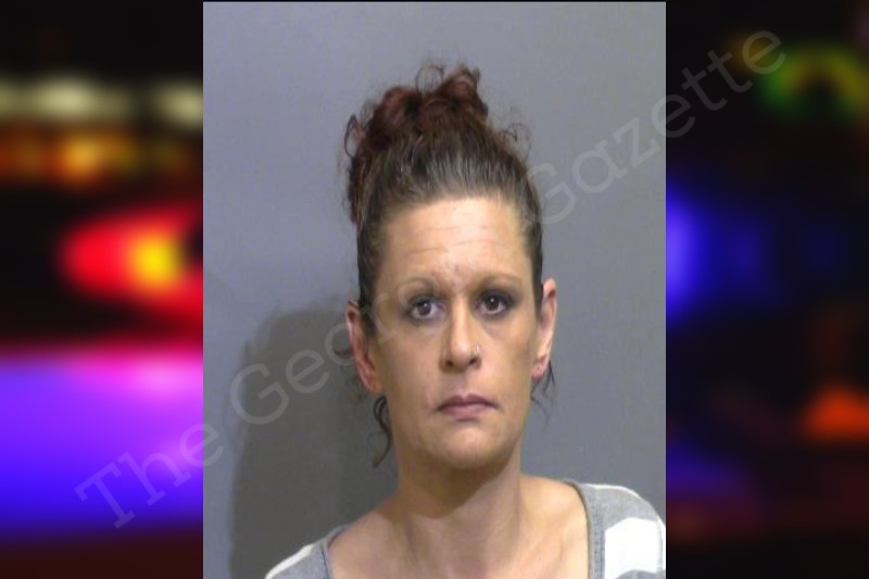 Michele Smith — Glynn County Jail Bookings