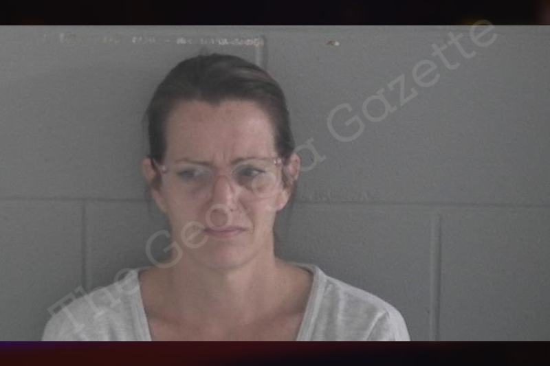 Marian Stanton — Brantley County Jail Bookings