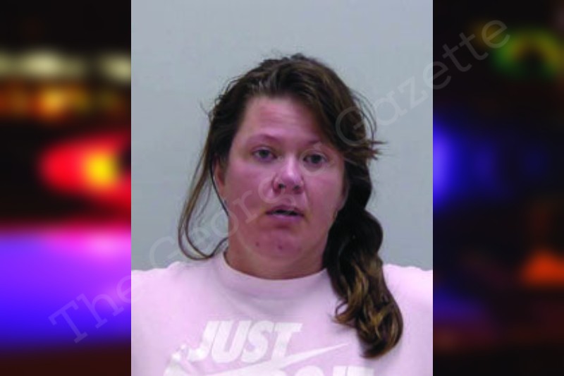 Michelle Stemper — Bartow County Jail Bookings