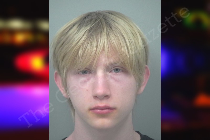 Nichalous Thornton — Gwinnett County Jail Bookings