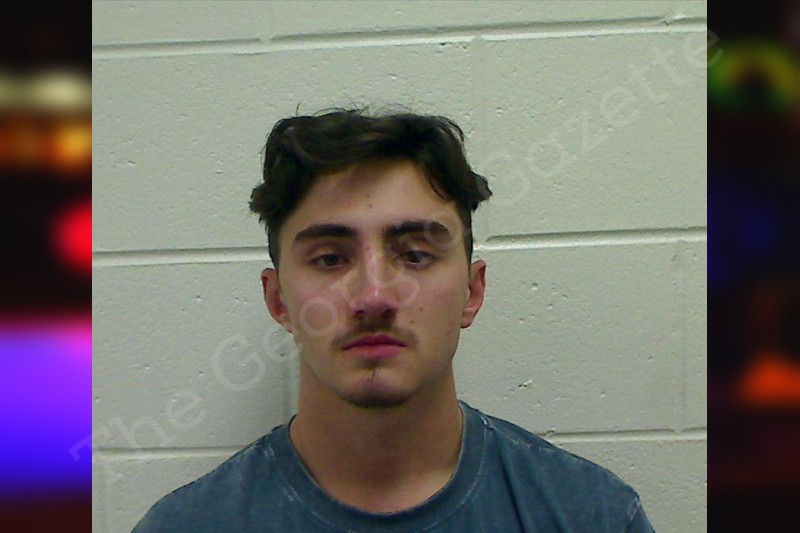 Adam Turner — Bulloch County Jail Bookings