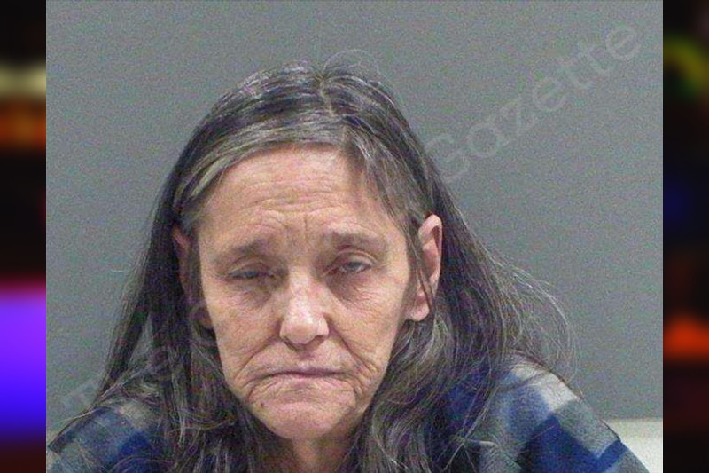 Pamela Tyson's Instagram, Twitter & Facebook on IDCrawl