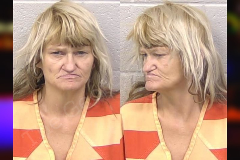 Lesia Timms — Paulding County Jail Bookings